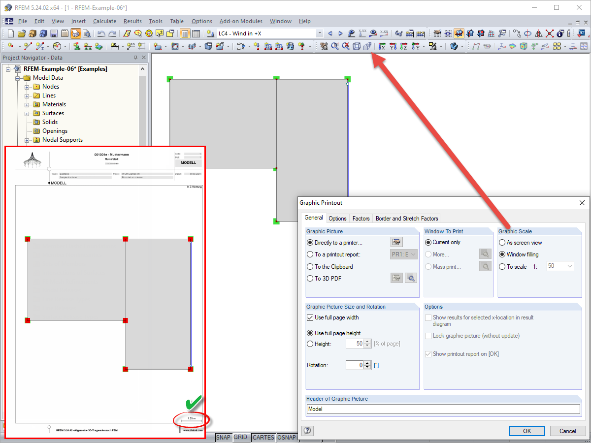 Display of Scale in Graphics in Printout Report
