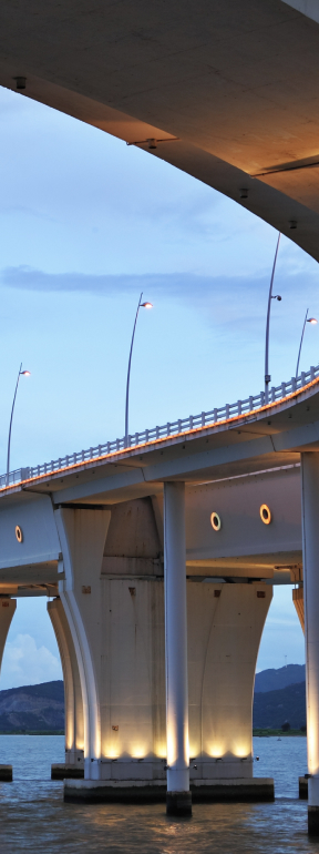 Downstand Beams, Ribs, T-Beams: Modeling and Determination of Internal ...