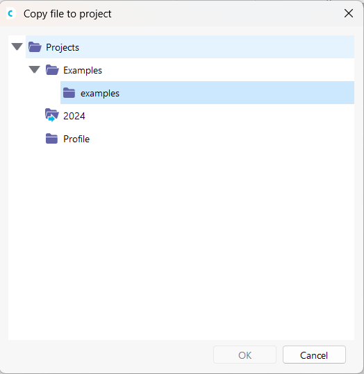 Copy model to project
