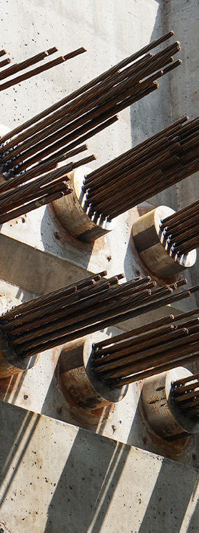 New Fichte G-LVL Material Series for Pollmeier | Timber Construction Update