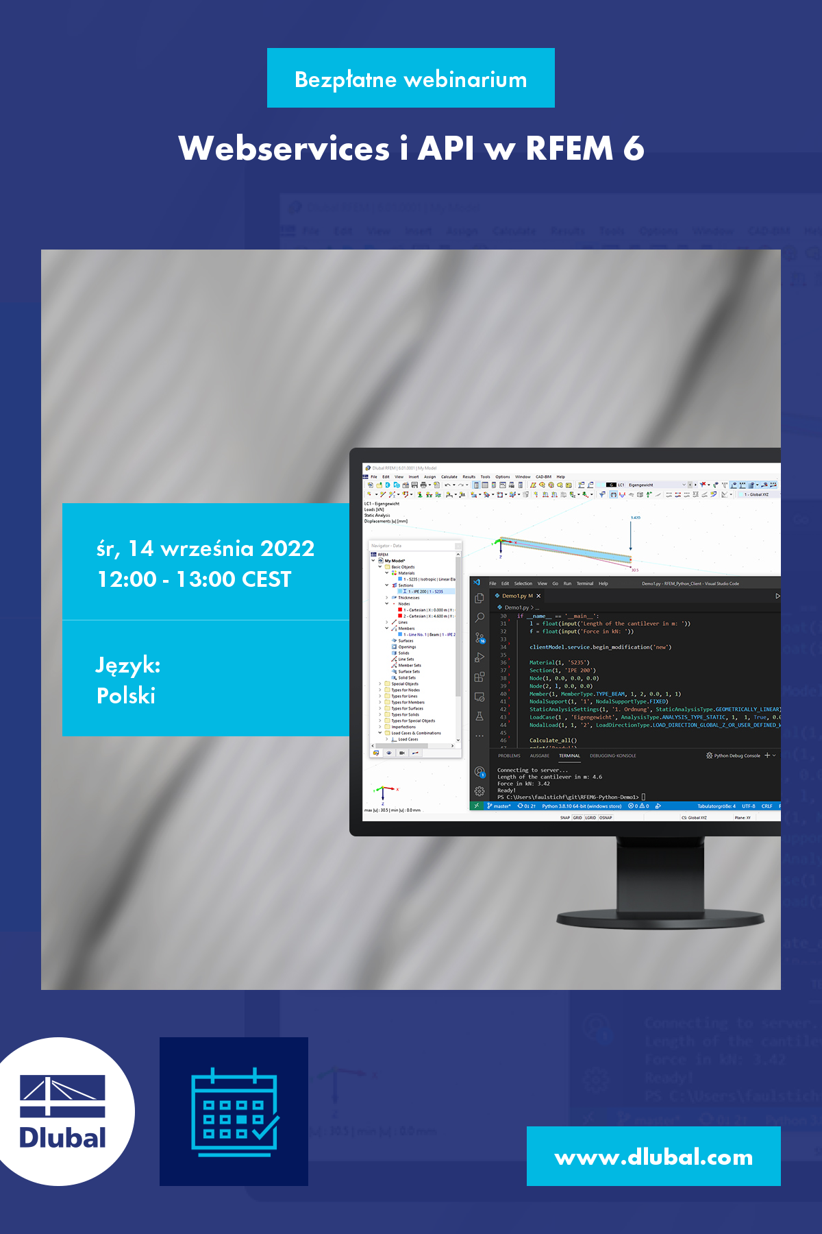 Servicios web y API en RFEM 6
