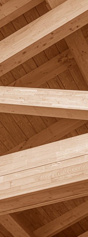 Poutres en retombée, nervures et poutres en T : Modélisation et ...