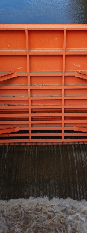 Poutres en retombée, nervures et poutres en T : Modélisation et ...